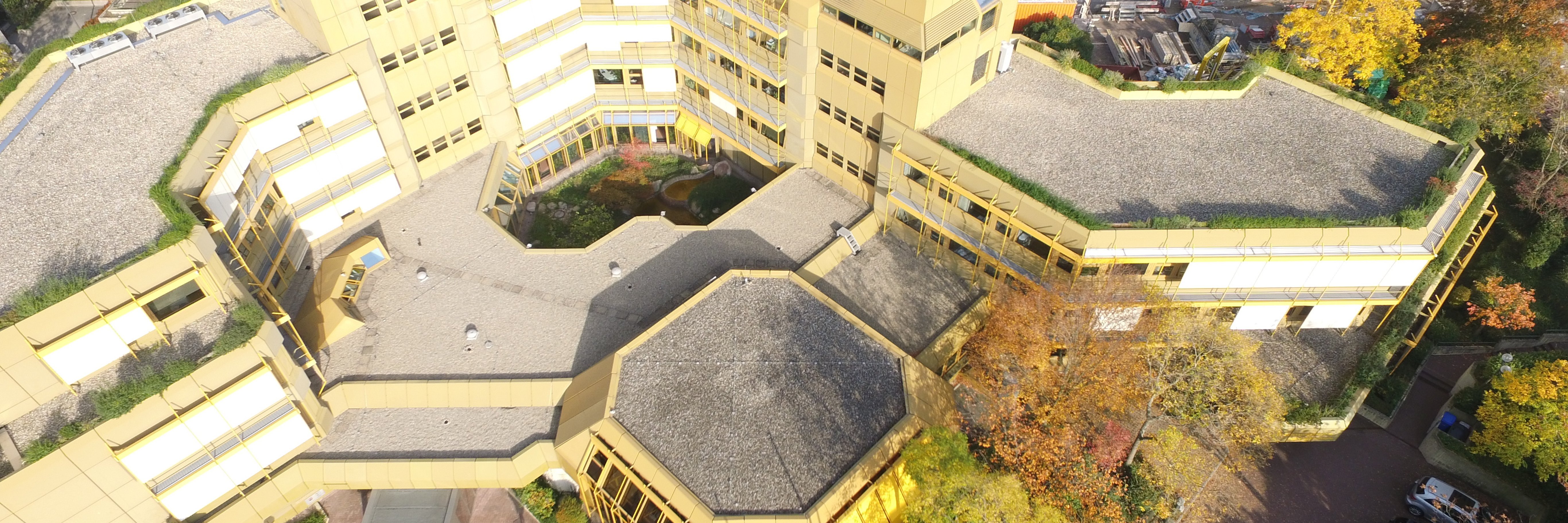 Ortsgemeinde Meckenheim | Kreis Bad Dürkheim